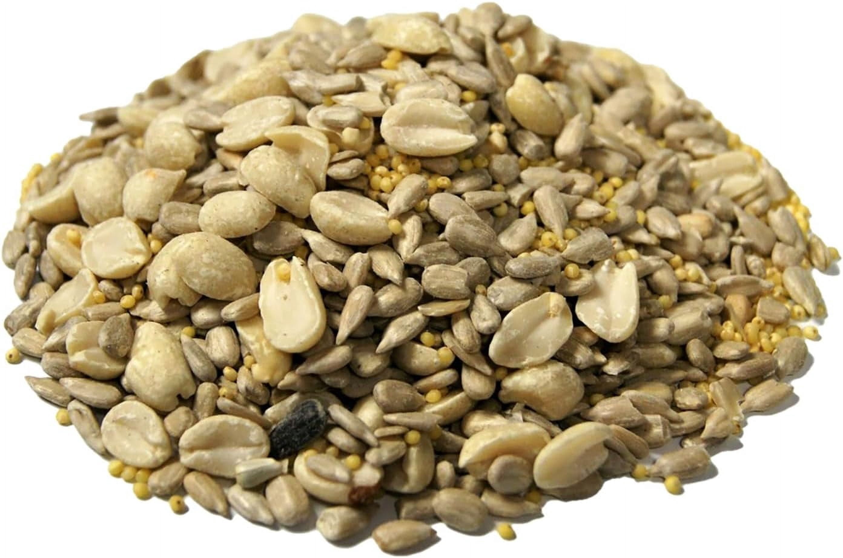 Backyard Seeds No Waste Back Deck/Porch/Patio Bird Seed Blend (20 ...