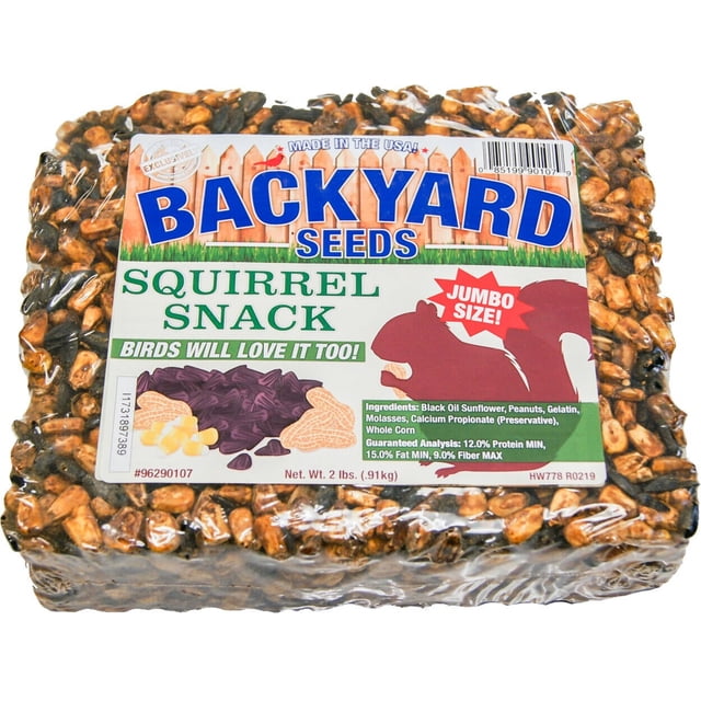 Backyard Seeds Squirrel Snack Seed Cake, 2Lb - Long-lasting Bird Food ...