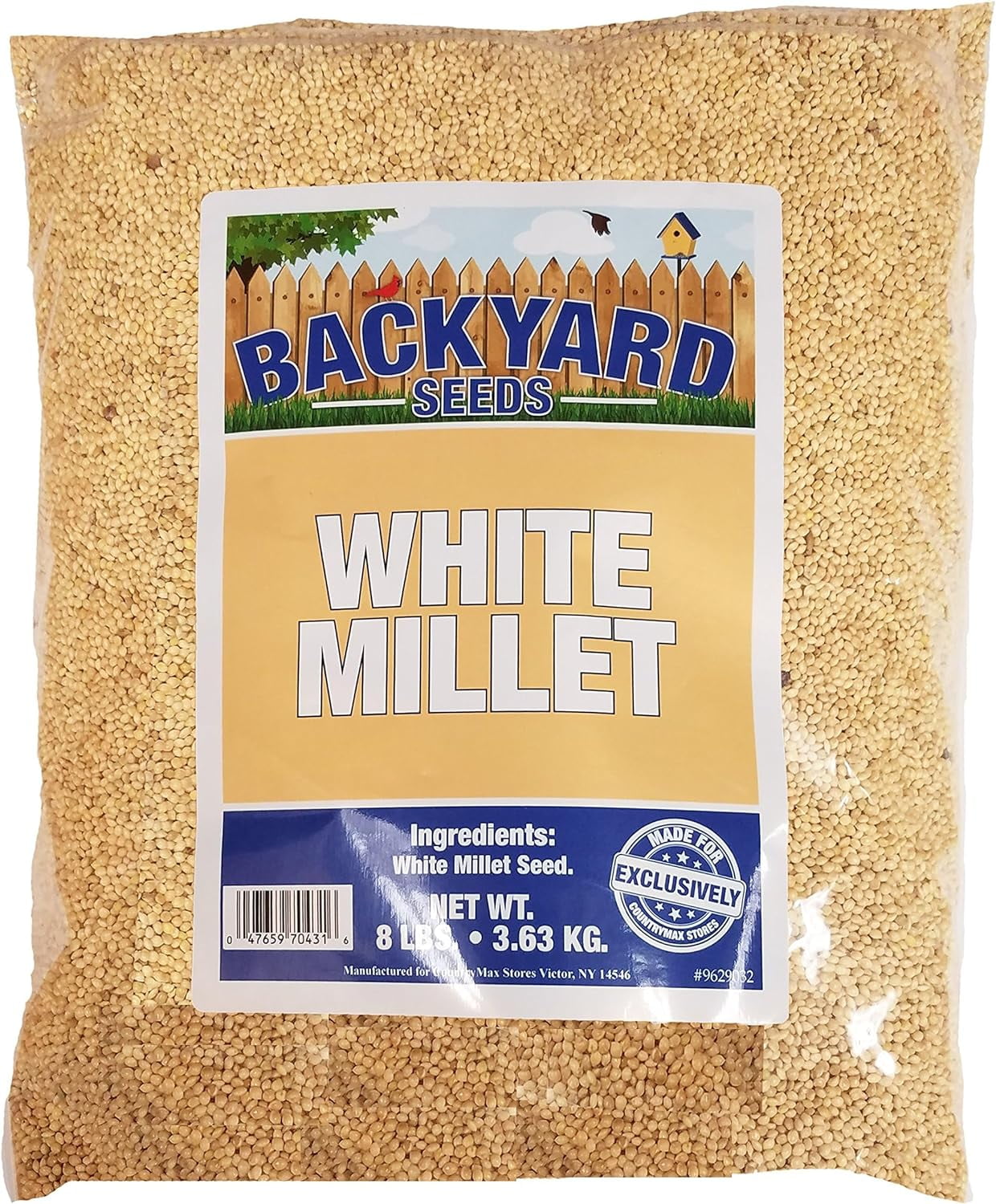 Backyard Seeds White Millet Bird Seed - Premium Finch Food (50 Pounds ...