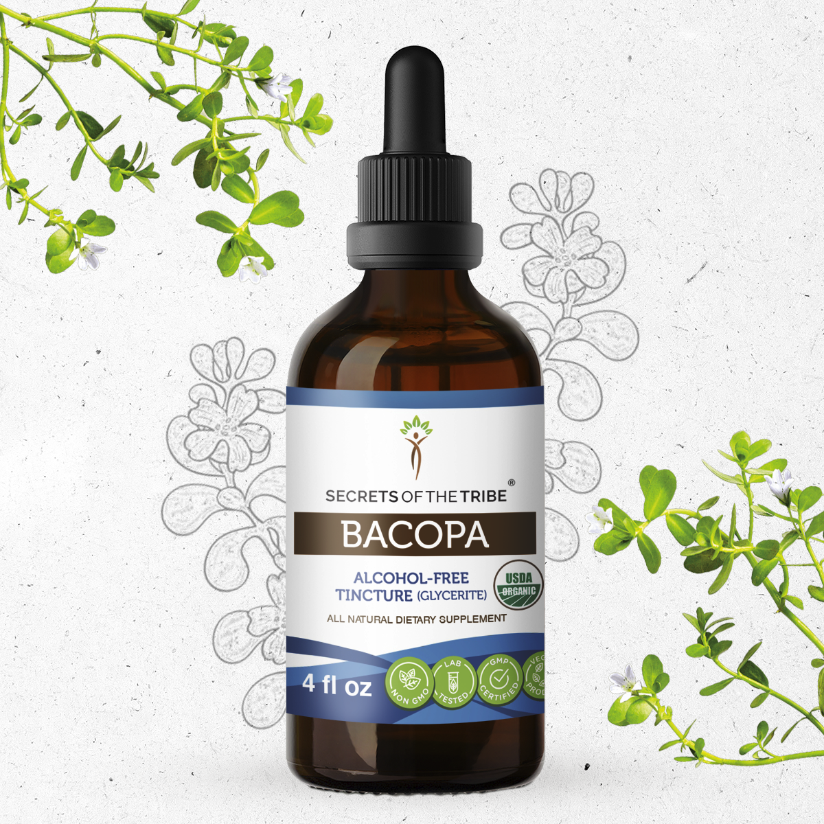 Bacopa Tincture Alcohol-FREE Extract, Bacopa Bacopa Monnieri Relaxation ...