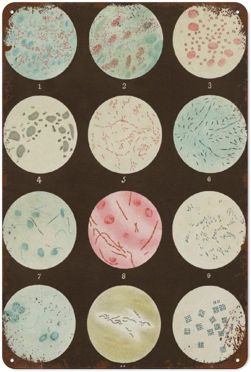 Bacteria Antique Reproduction Scientist Gift Microbiology Microscope ...