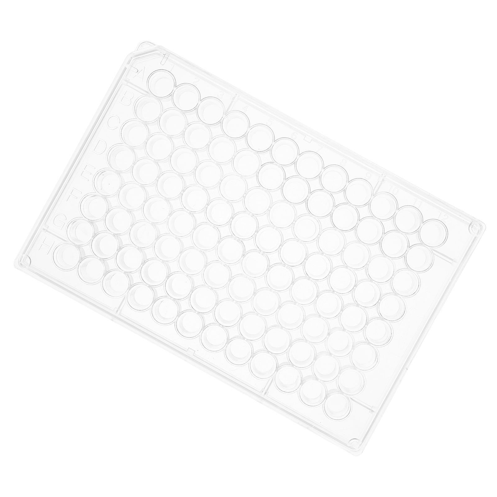 Bacterial Culture Plate Laboratory Cell Tissue with Cover Plastic ...