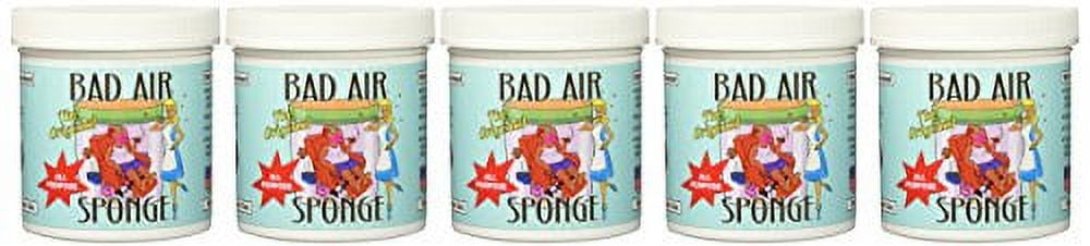 Bad Air Sponge neutralizes and absorbs odors 14oz, 14 Ounce (Pack of 5 ...