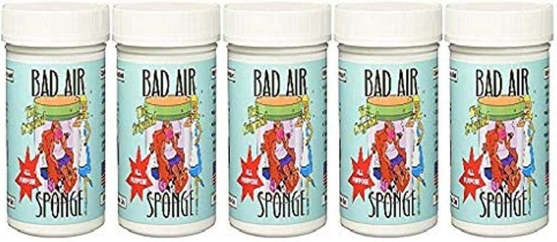 Bad Air Sponge neutralizes and absorbs odors 14oz, 14 Ounce (Pack of 5 ...