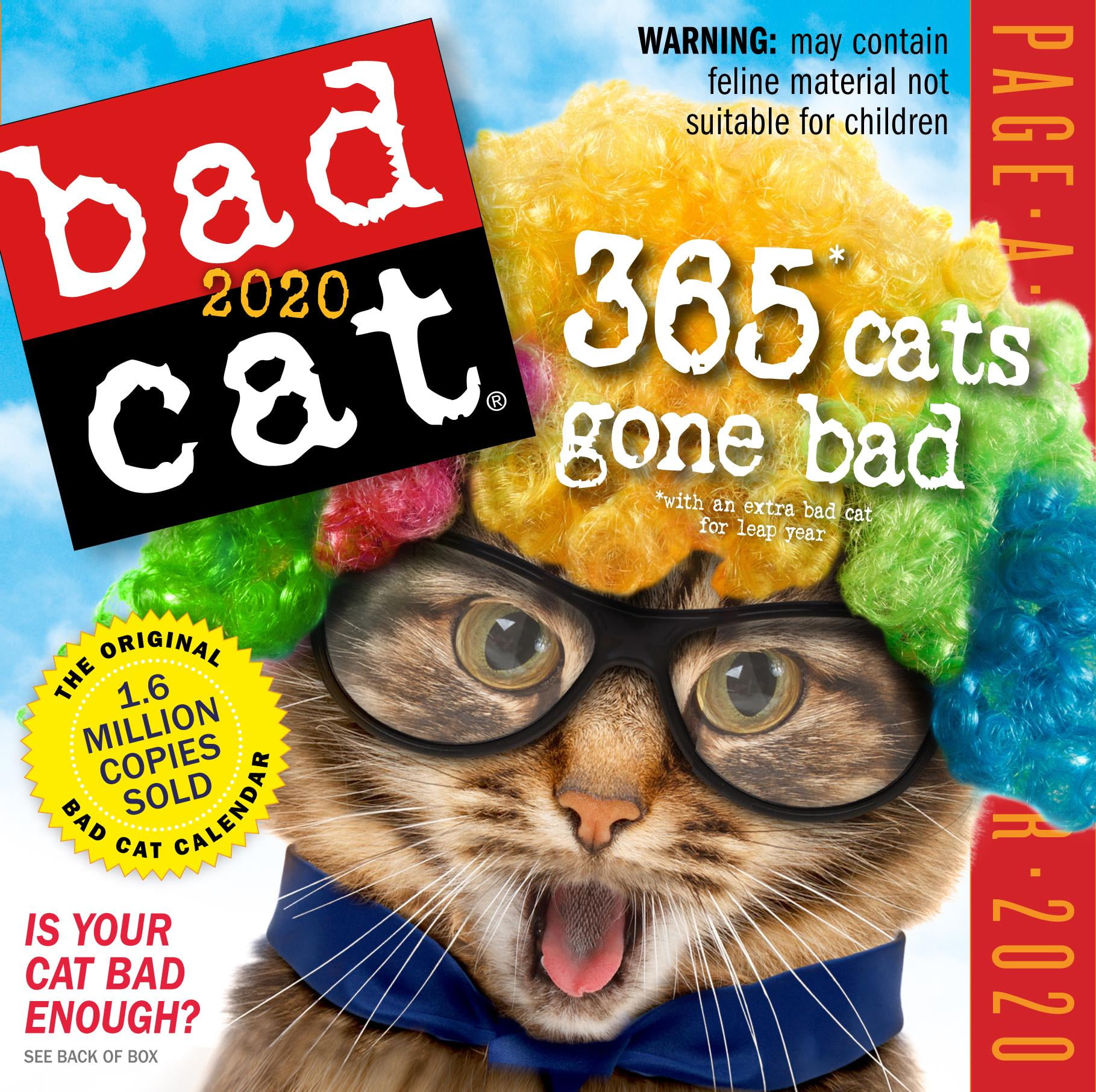 Bad Cat Page-A-Day Calendar 2020 (Other) - Walmart.com