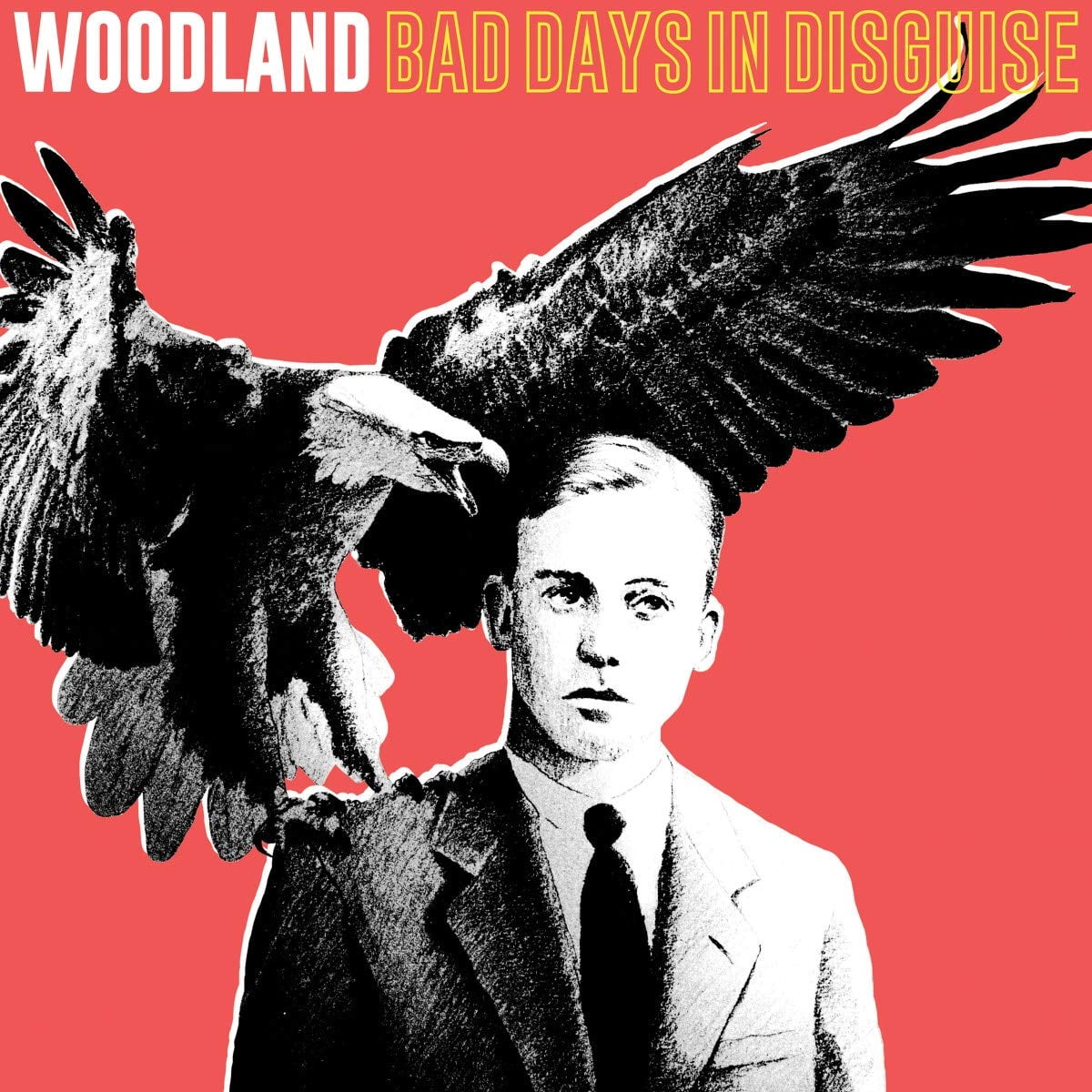 Bad Days in Disguise (LP) - Walmart.com