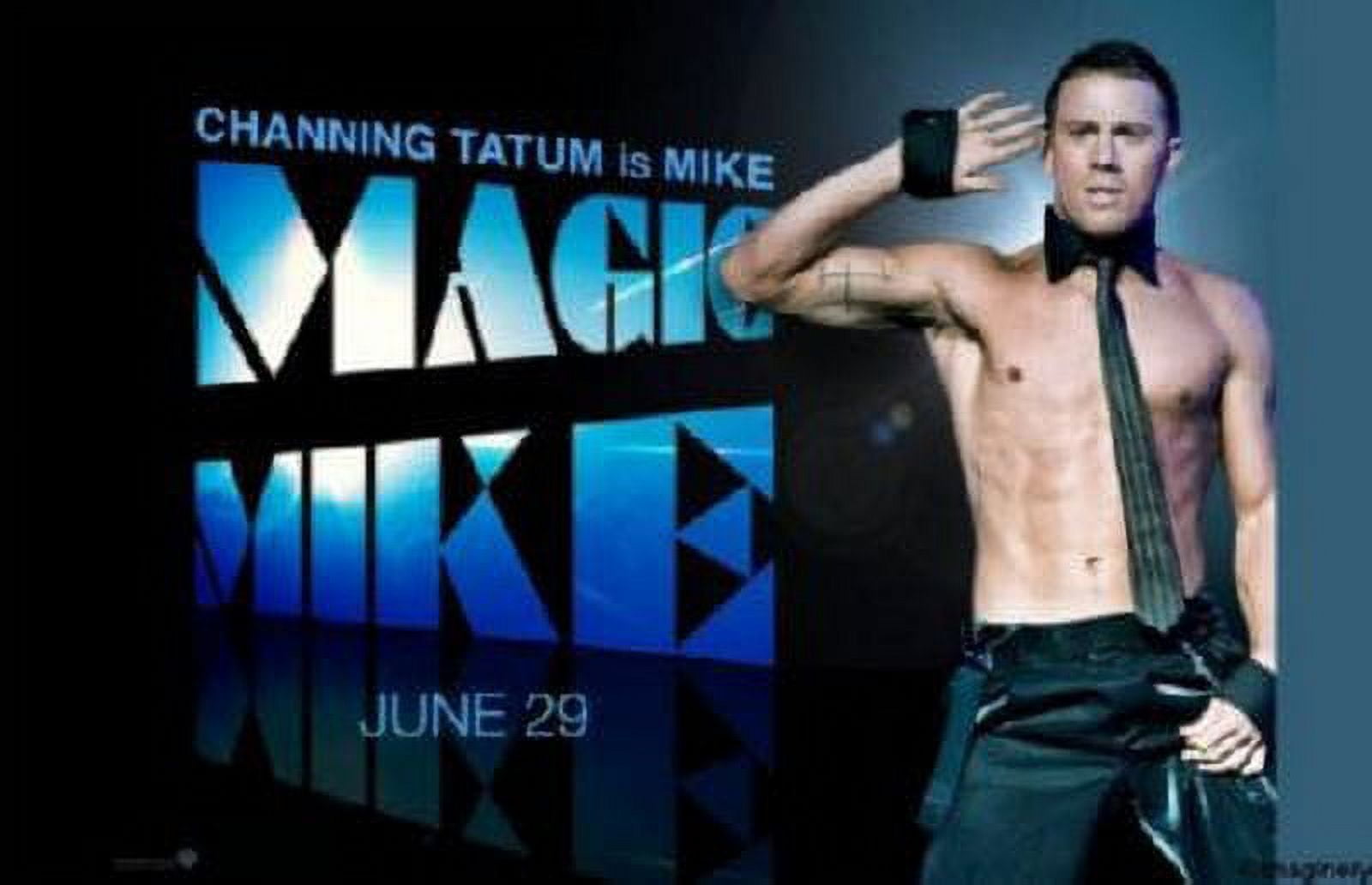 Bad Dog Posters Channing Tatum Mini Movie Poster 16inx24in 16x24 poster ...