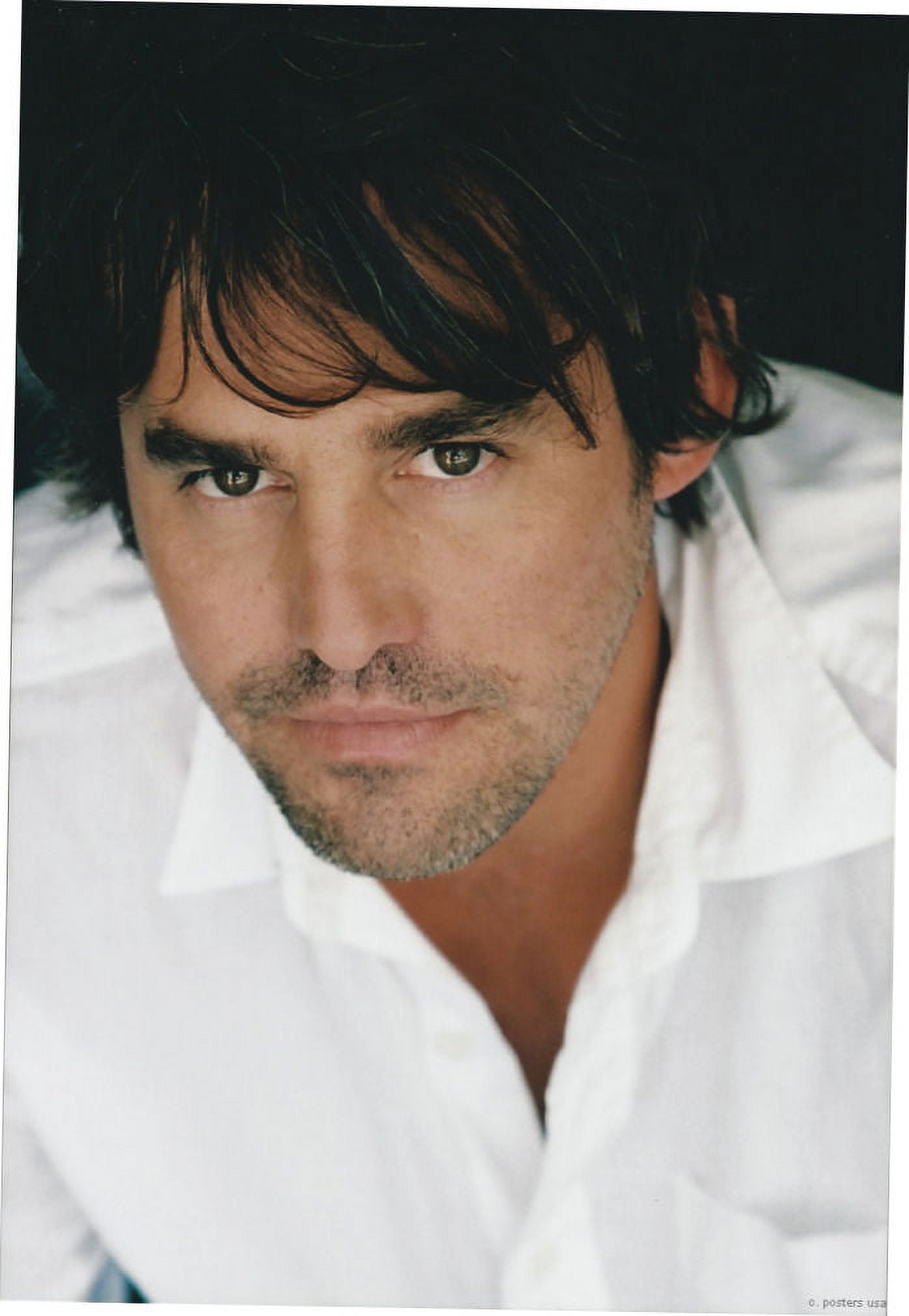 Bad Dog Posters Nicholas Brendon Poster 16inx24in 16x24 poster ...