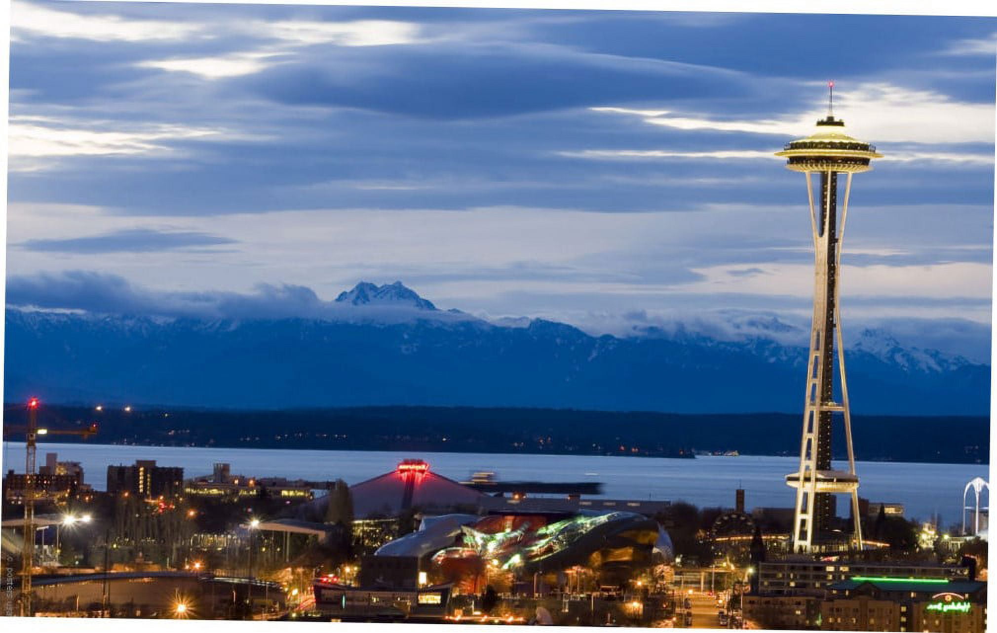 Bad Dog Posters Seattle Skyline Poster 24inx36in 24x36 poster - Walmart.com