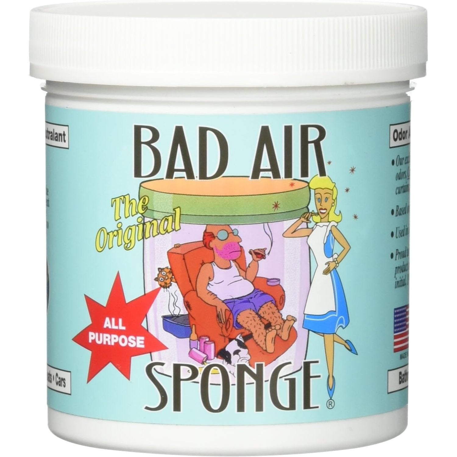 HTYSUPPLY Bad Odor Air Sponge, Air Freshener for Vent Filter, Central ...
