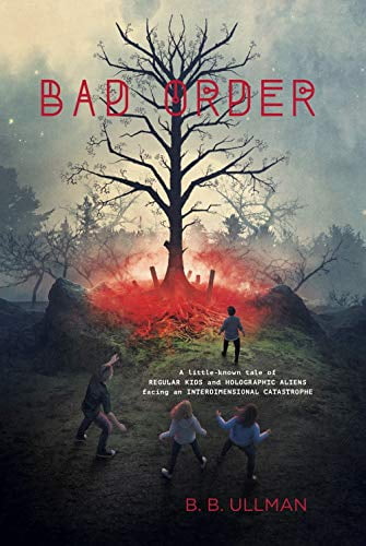 Pre-Owned Bad Order (Hardcover) 145493106X 9781454931065 - Walmart.com
