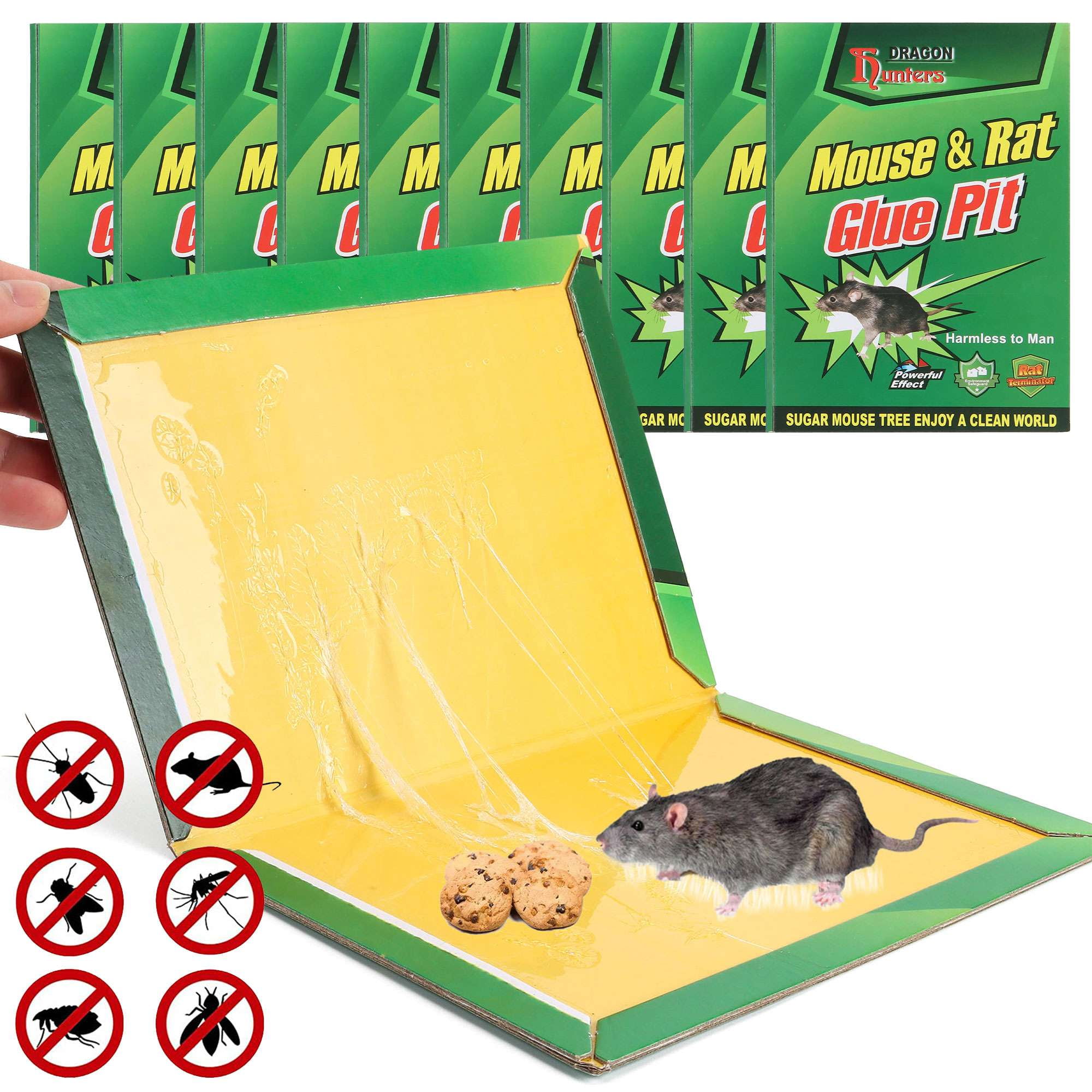 BadPiggies 5 Pack Large Mouse Glue Traps Enhanced Stickiness Pads for ...