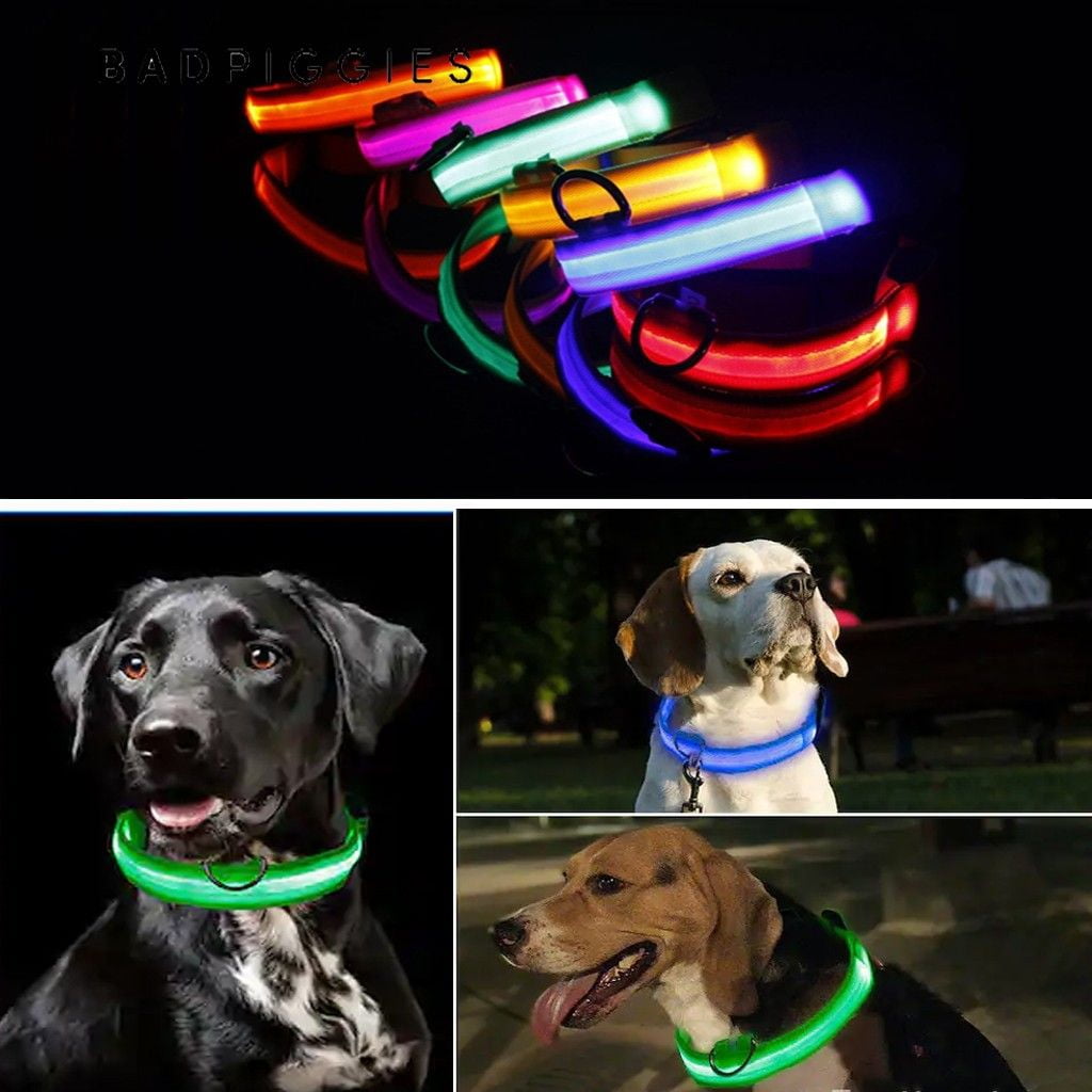 BadPiggies LED Dog Collar Pet Collar Rechargeable USB Reflective ...