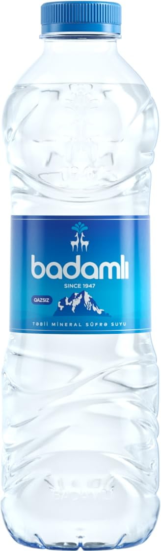 Badamlı Natural Spring Water pH 7.5, 16.9 fl oz (500ml), Daily ...