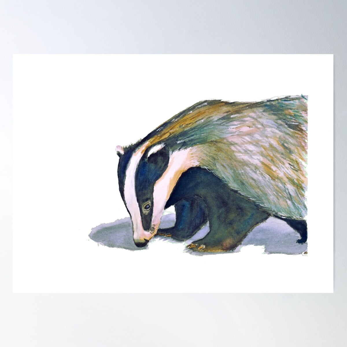 Badger (Watercolour) Poster Wall Art, Modern Wall Decor For Living Room ...