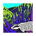 Badger in Pop Art - Canvas - Walmart.com
