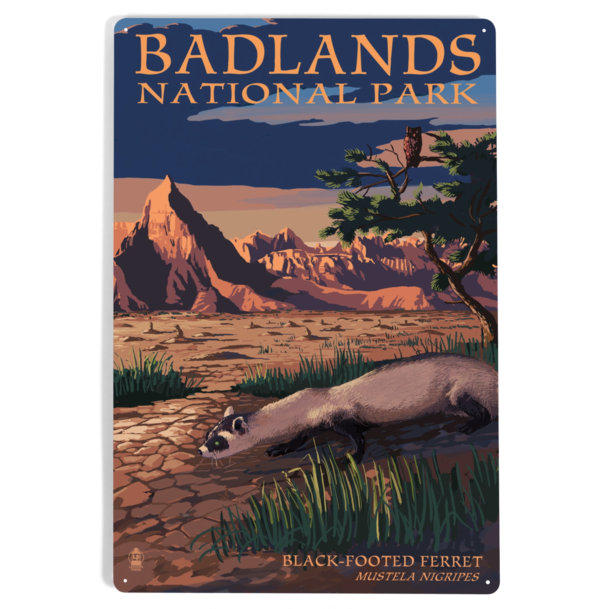 Badlands National Park, South Dakota, Ferret at Night (12x18 Aluminum ...