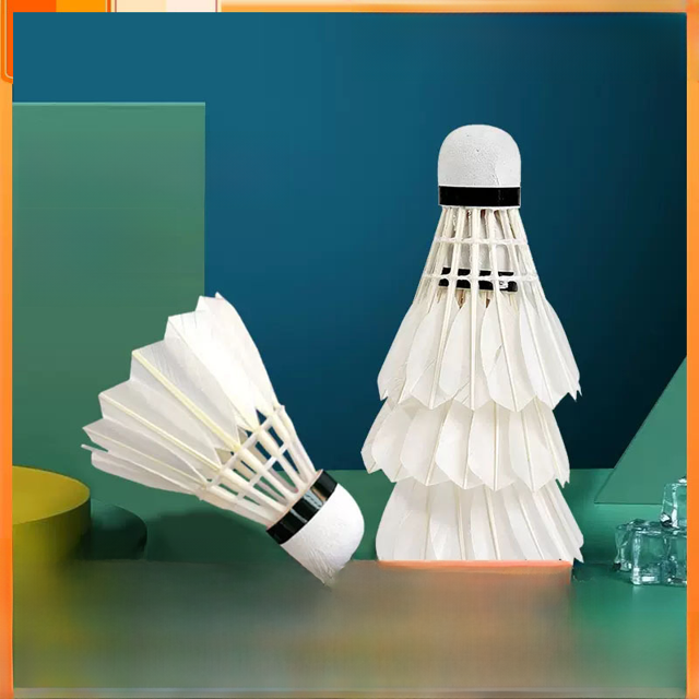 Badminton novice exercise with light resistant to play professional ...