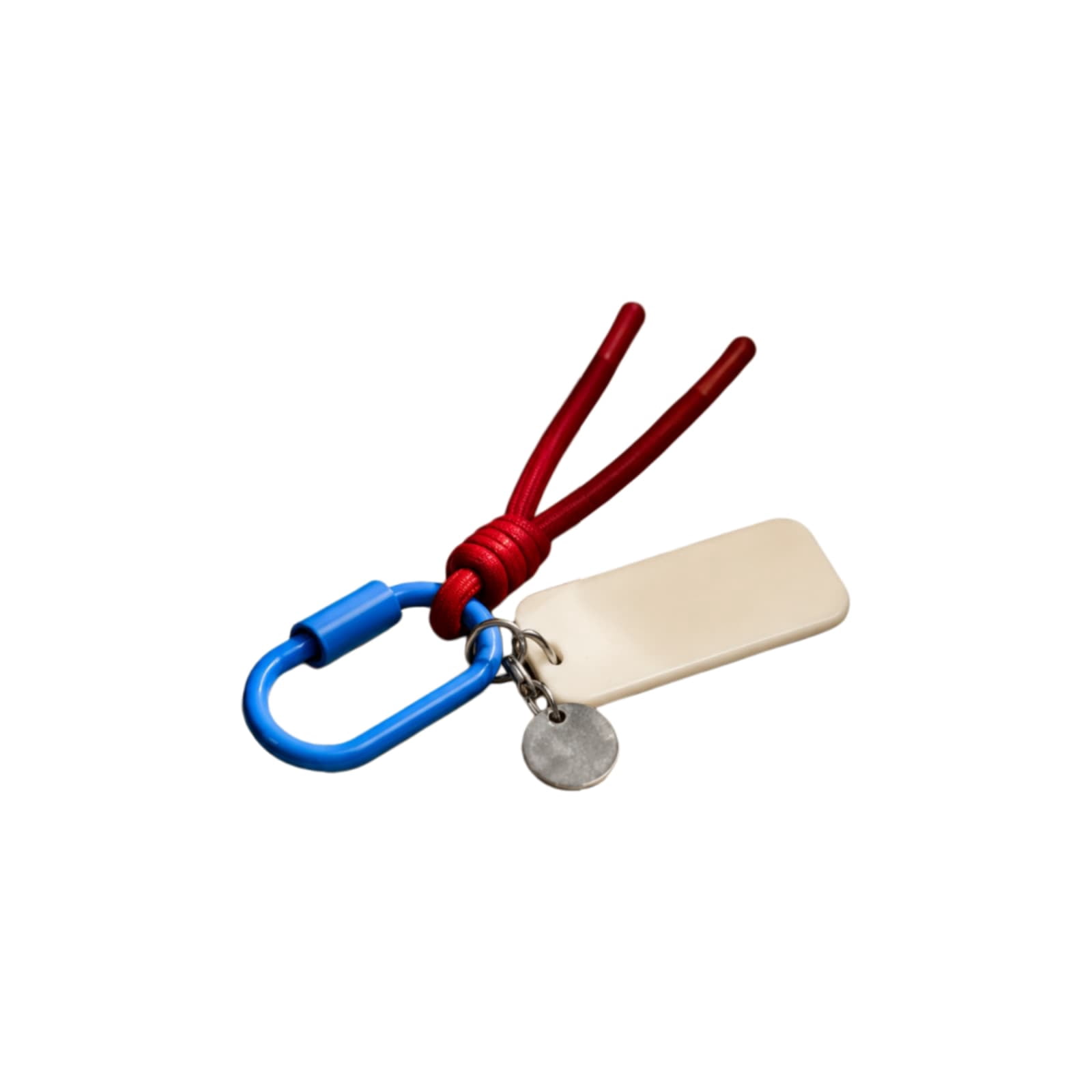 Bag Charm,Sardine Keychain,Vintage Acrylic Keychain Retro American ...