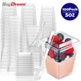 BagDream 5oz Disposable Plastic Dessert Cups with Lids/Spoons, Clear ...
