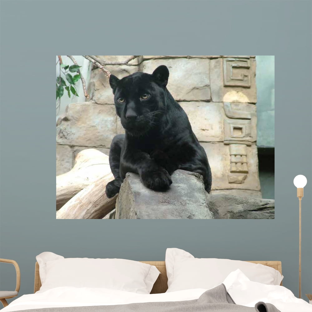 Bagira Panther Wall Mural Decal Sticker, Wallmonkeys Peel & Stick Vinyl Graphic (48 in W x 36 in ...