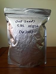 Bags for Food Storage 1 Gallon - Extra Thick Long Term & Food Grade ...