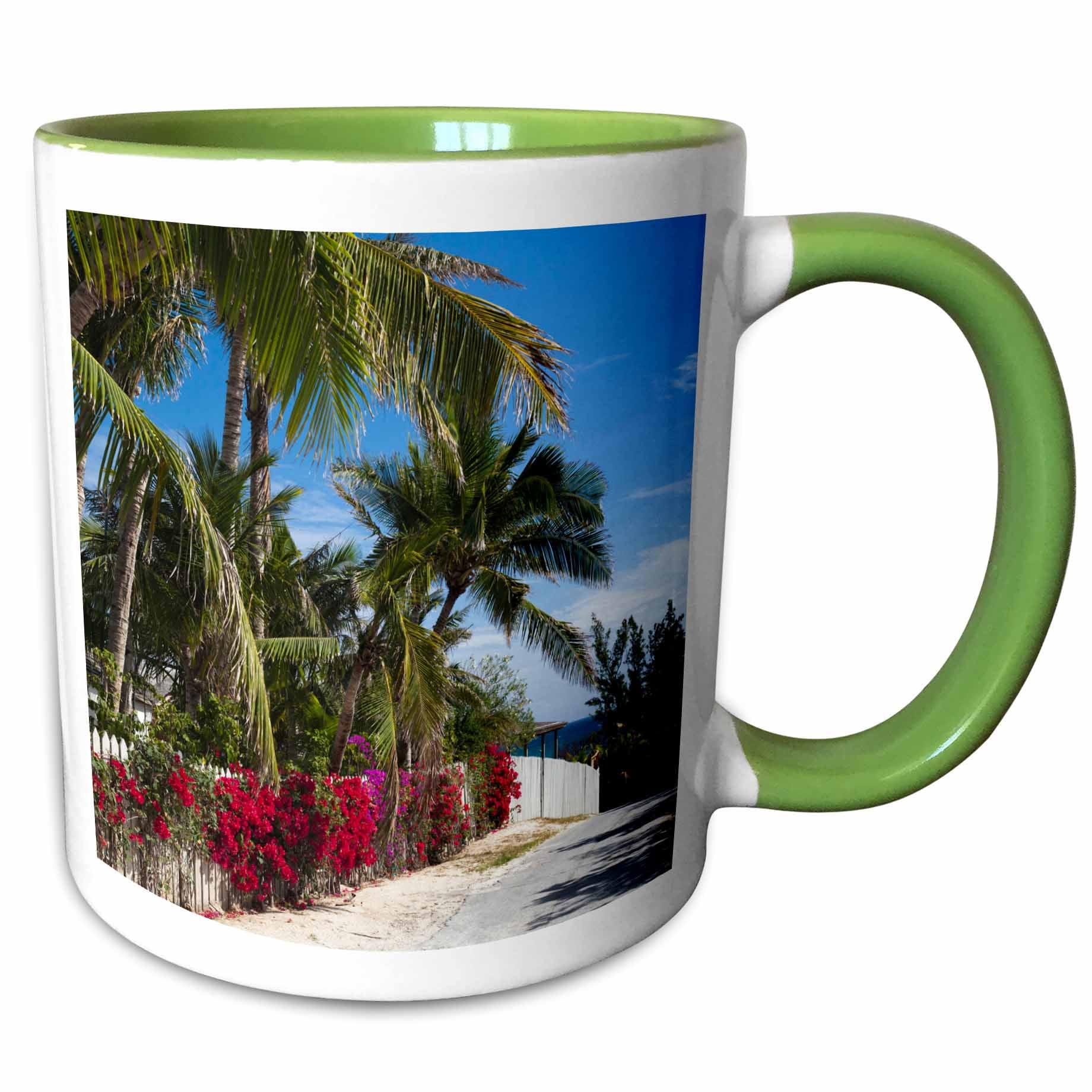 3drose, Bahamas, Eleuthera, Harbor Island, Dunmore, Flora - Ca05 ...