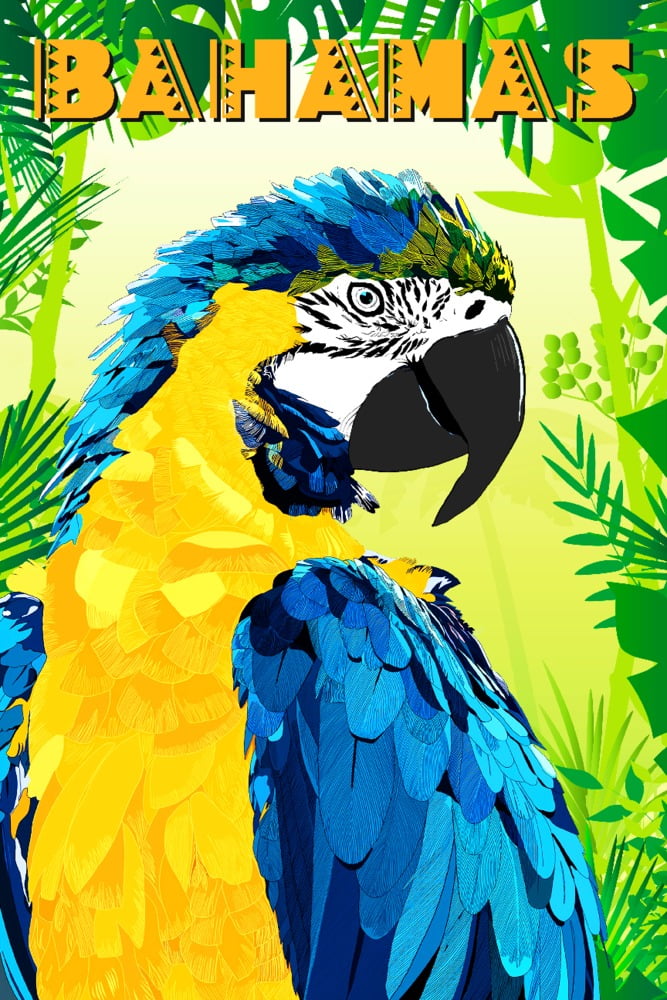Bahamas, Macaw in Jungle Scene, Vector Geometric (16x24 Giclee Gallery ...