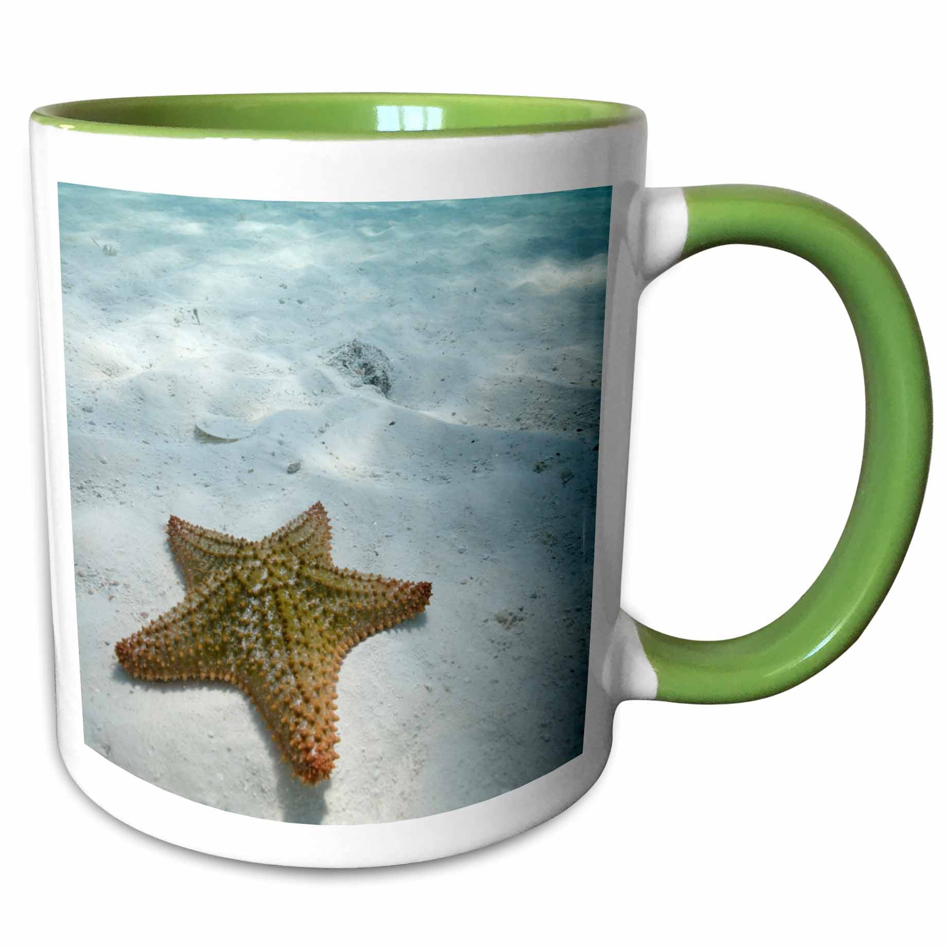 3drose, Bahamas, Marine Life, Sea Star, Golden Rock Beach-ca05 Pso0047 ...