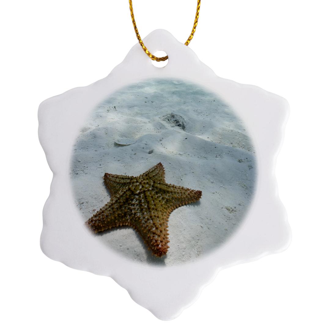 3drose, Bahamas, Marine Life, Sea Star, Golden Rock Beach-ca05 Pso0047 ...