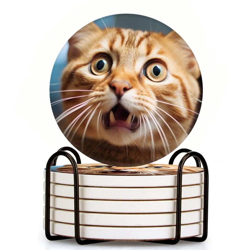 Bahomeck Drink Coasters Set Of 6 With Holder Ginger Cat Looking Shocked ...