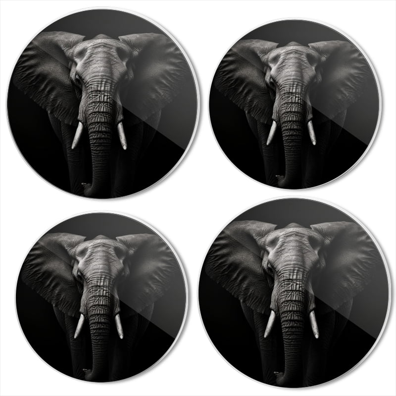 Bahomeck Electric Stove Burner Covers Set Of 4,Black And White Portrait ...
