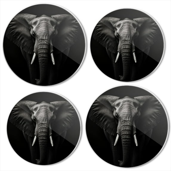 Bahomeck Electric Stove Burner Covers Set Of 4,Black And White Portrait ...