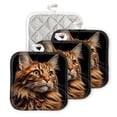 Bahomeck Pot Holder 4Pcs,Orange-Brown Maine Cat Fur Long And Fluffy ...
