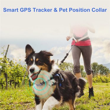 Pet Tracker Collar for Cats and Dogs GPS Locator No Monthly Fee Apple Find My Network Compatible ...
