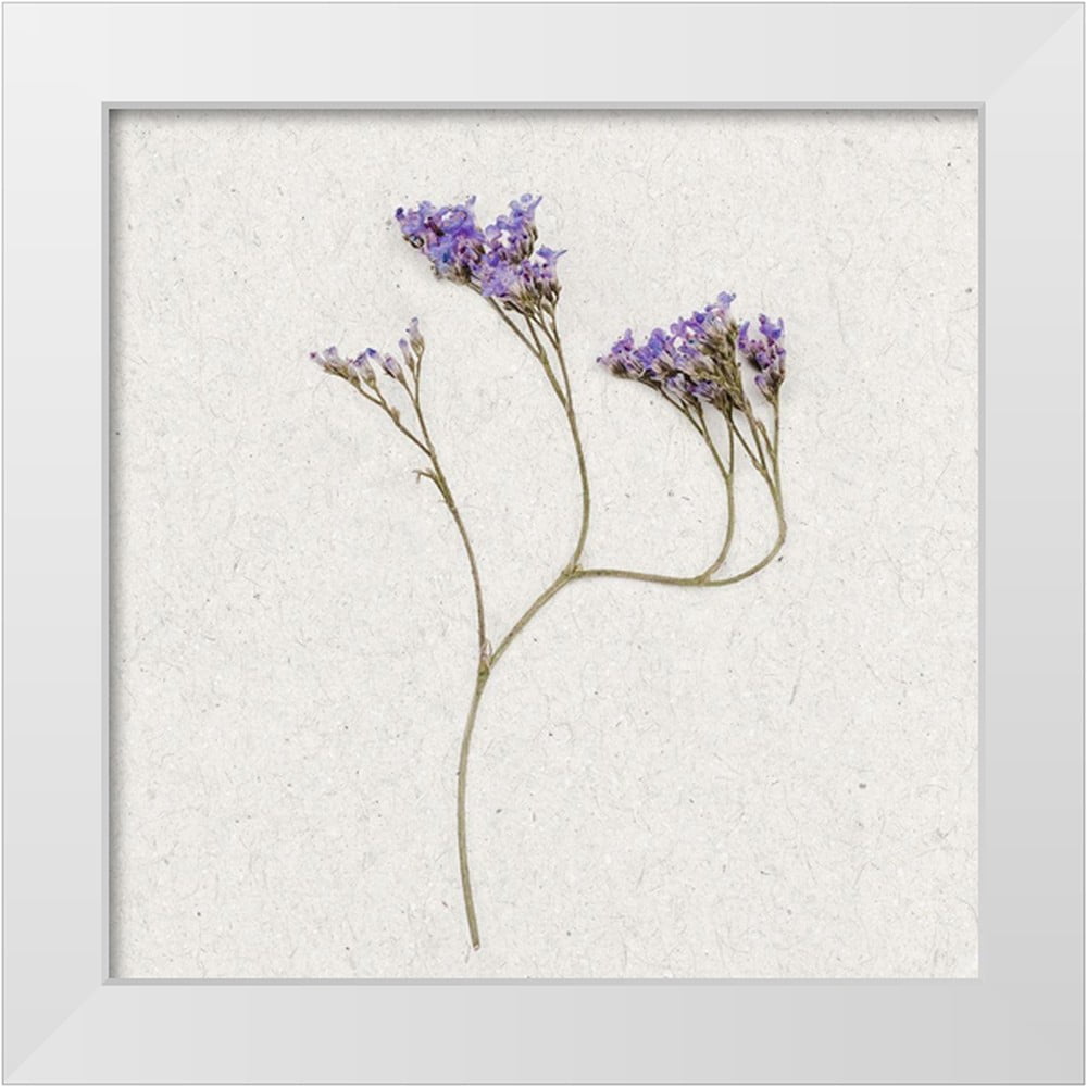 Bailey, Ann 12x12 White Modern Wood Framed Museum Art Print Titled ...