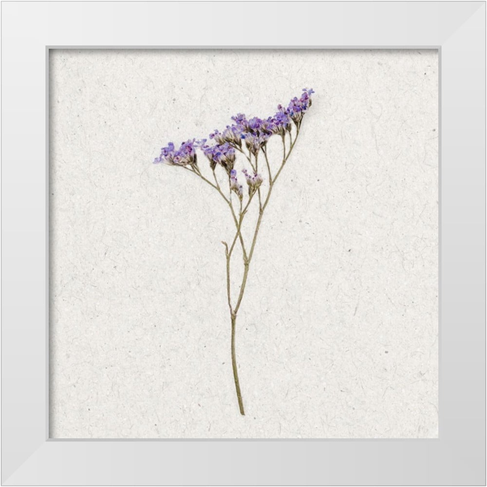 Bailey, Ann 12x12 White Modern Wood Framed Museum Art Print Titled ...