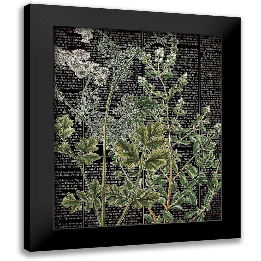 Bailey, Ann 12x14 Black Modern Framed Museum Art Print Titled ...