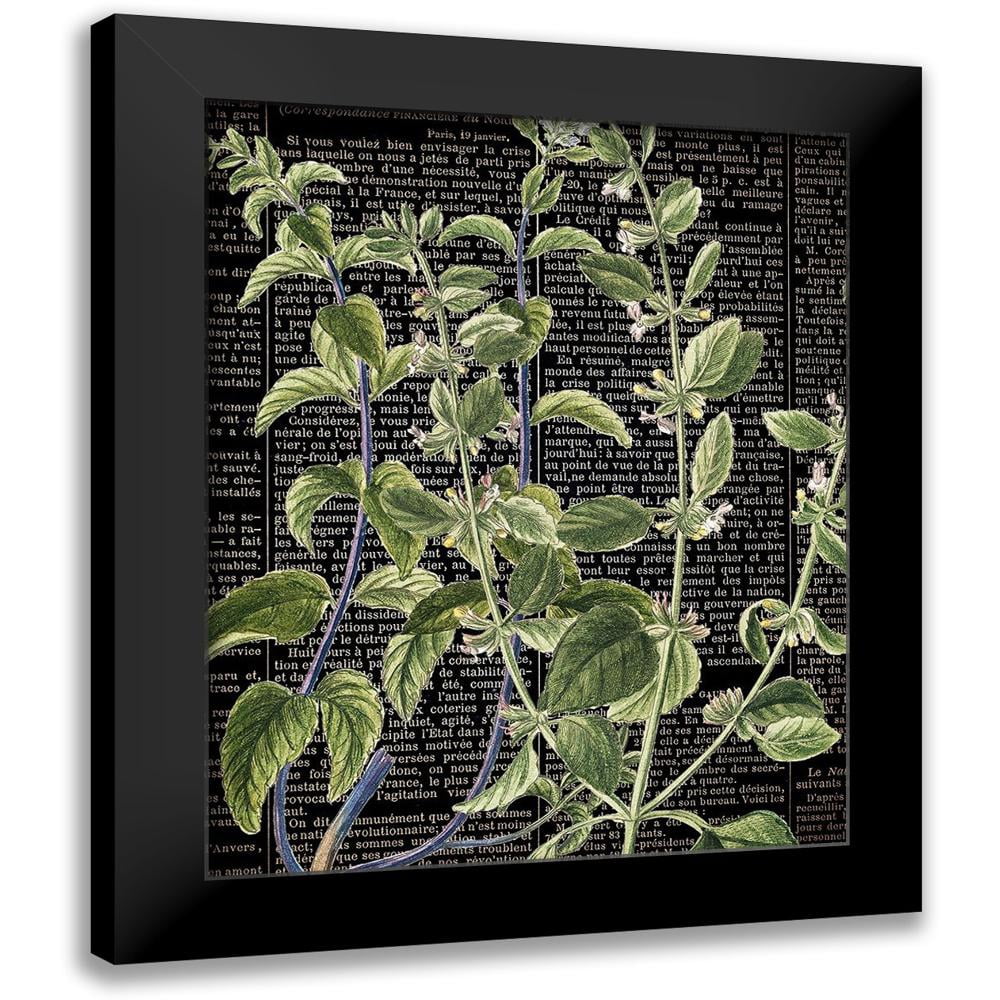 Bailey, Ann 12x14 Black Modern Framed Museum Art Print Titled ...