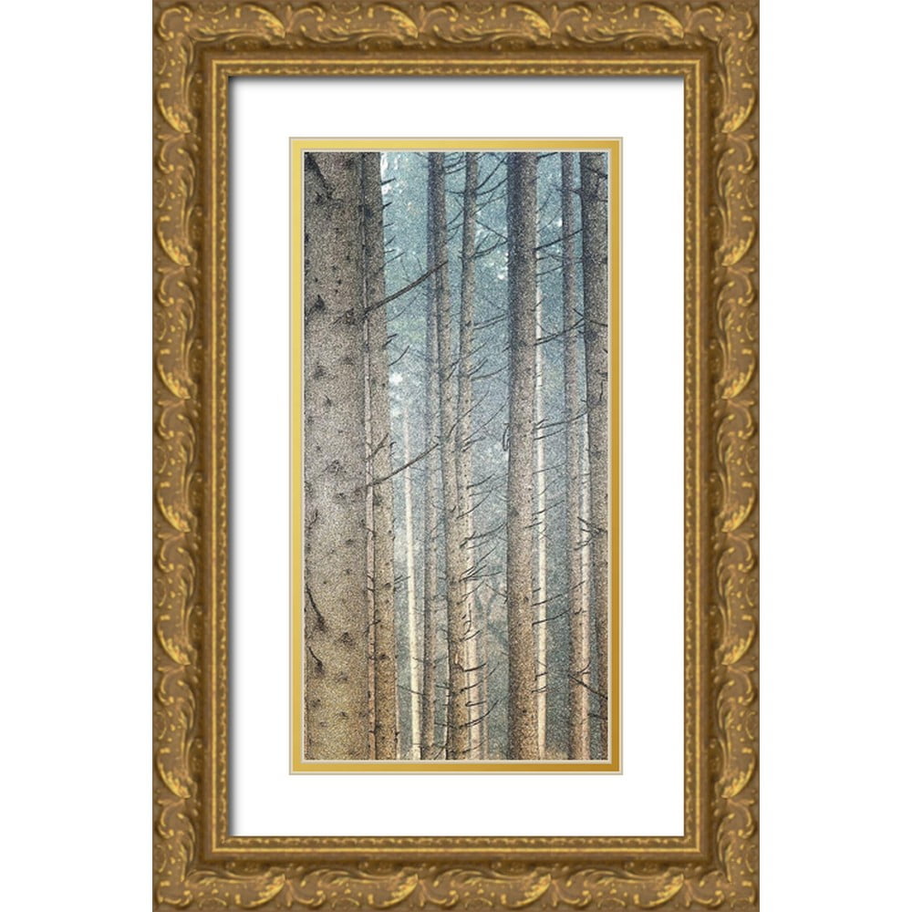 Bailey, Ann 14x24 Gold Ornate Wood Framed with Double Matting Museum Art Print Titled - Forest ...