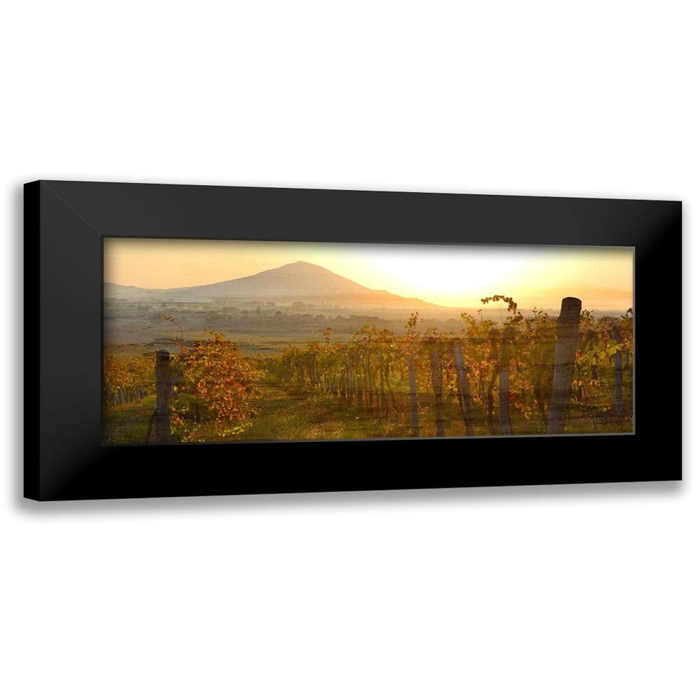 Bailey, Ann 14x8 Black Modern Framed Museum Art Print Titled - Dawn ...