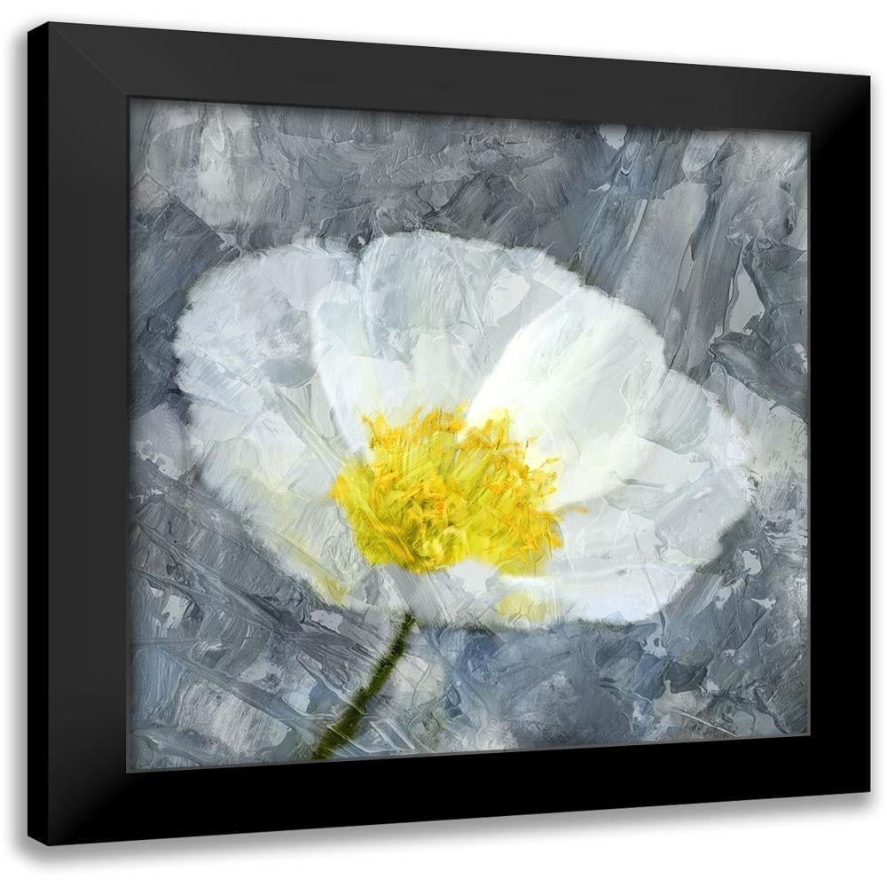 Bailey, Ann 15x15 Black Modern Framed Museum Art Print Titled - Poppy ...