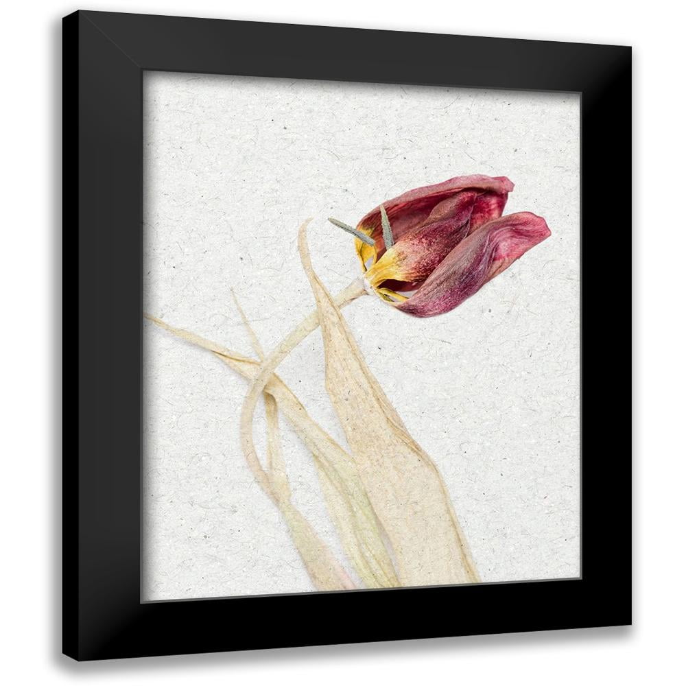 Bailey, Ann 15x18 Black Modern Framed Museum Art Print Titled - Pressed ...
