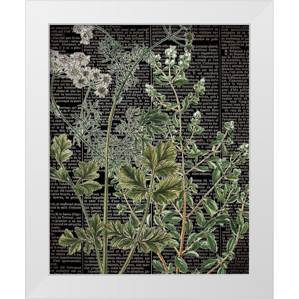 Bailey, Ann 15x18 White Modern Wood Framed Museum Art Print Titled ...