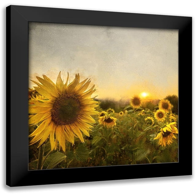 Bailey, Ann 20x20 Black Modern Framed Museum Art Print Titled - Field ...