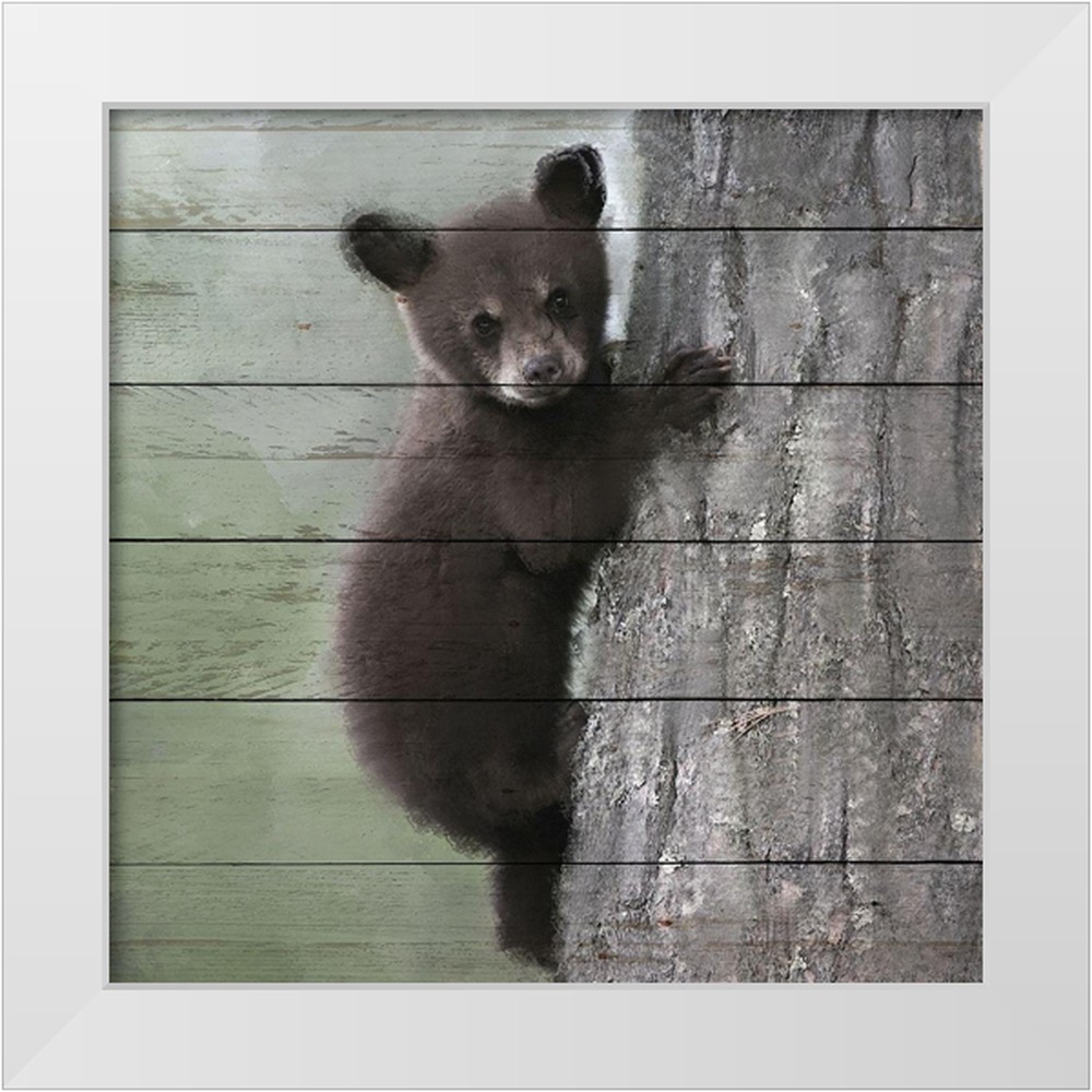 Bailey, Ann 20x20 White Modern Wood Framed Museum Art Print Titled ...