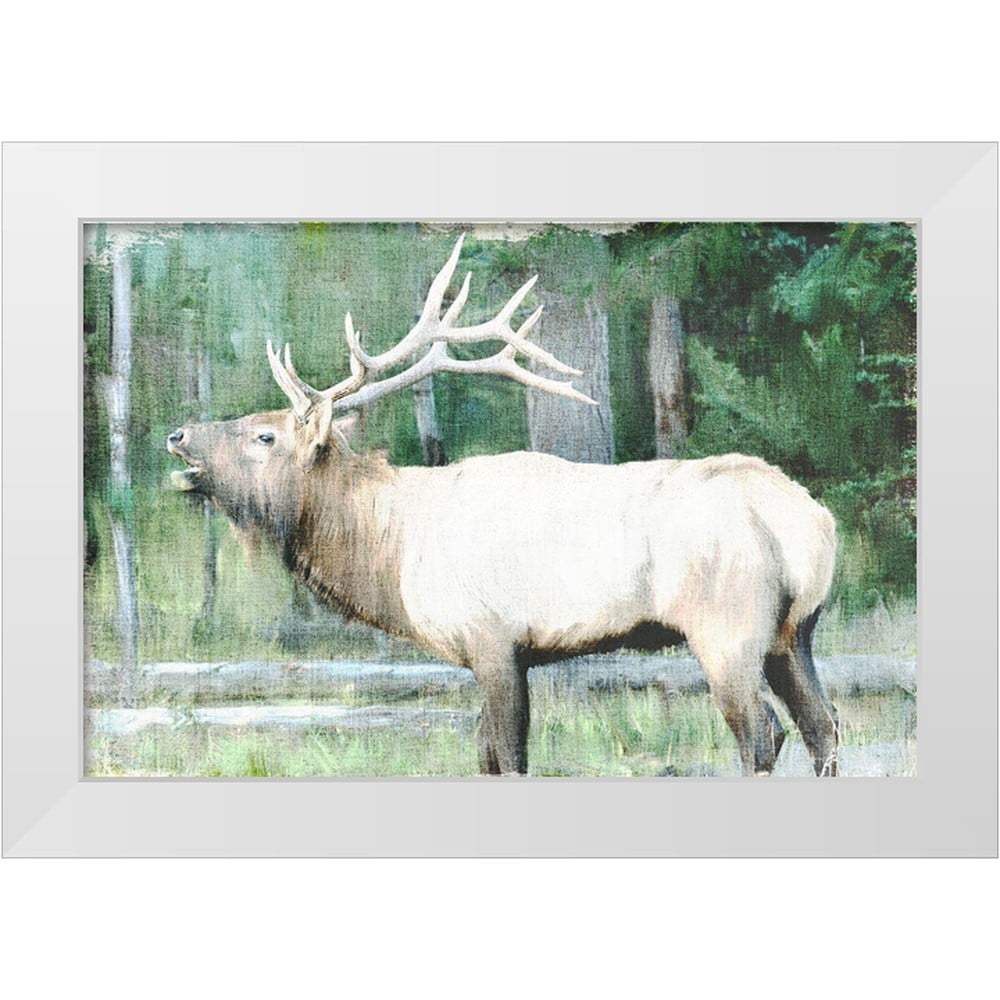 Bailey, Ann 24x17 White Modern Wood Framed Museum Art Print Titled ...