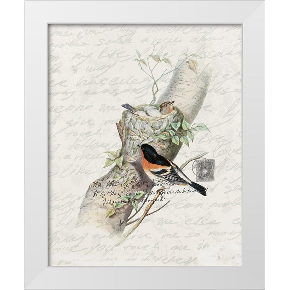 Bailey, Ann 26x32 White Modern Wood Framed Museum Art Print Titled - Nesting 3 - Walmart.com