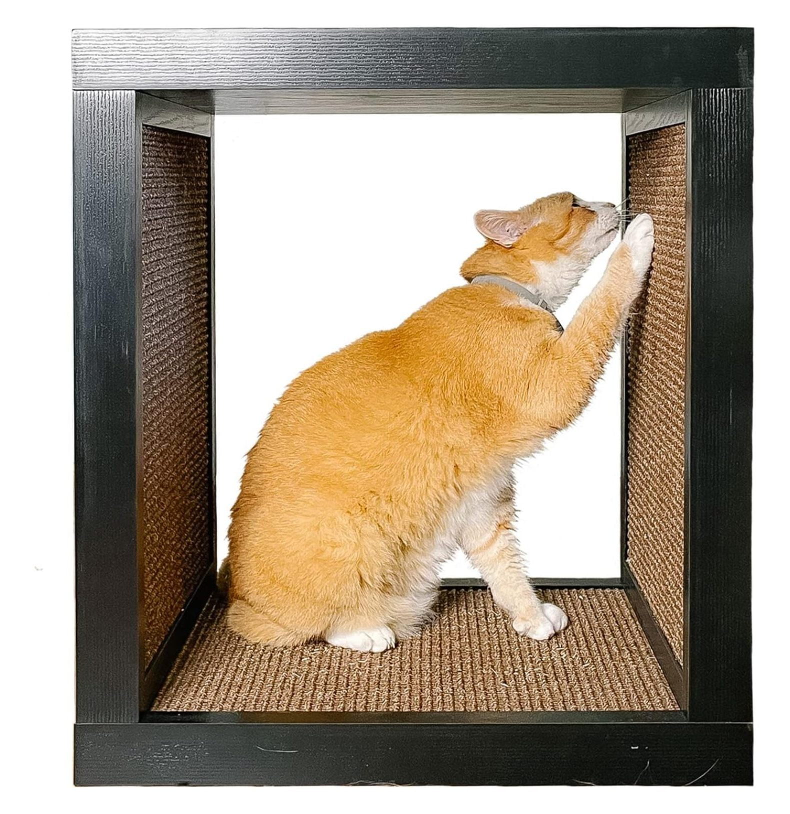 Bailey Cat Scratcher, Wooden Cat Scratcher and End Table, Sisal ...