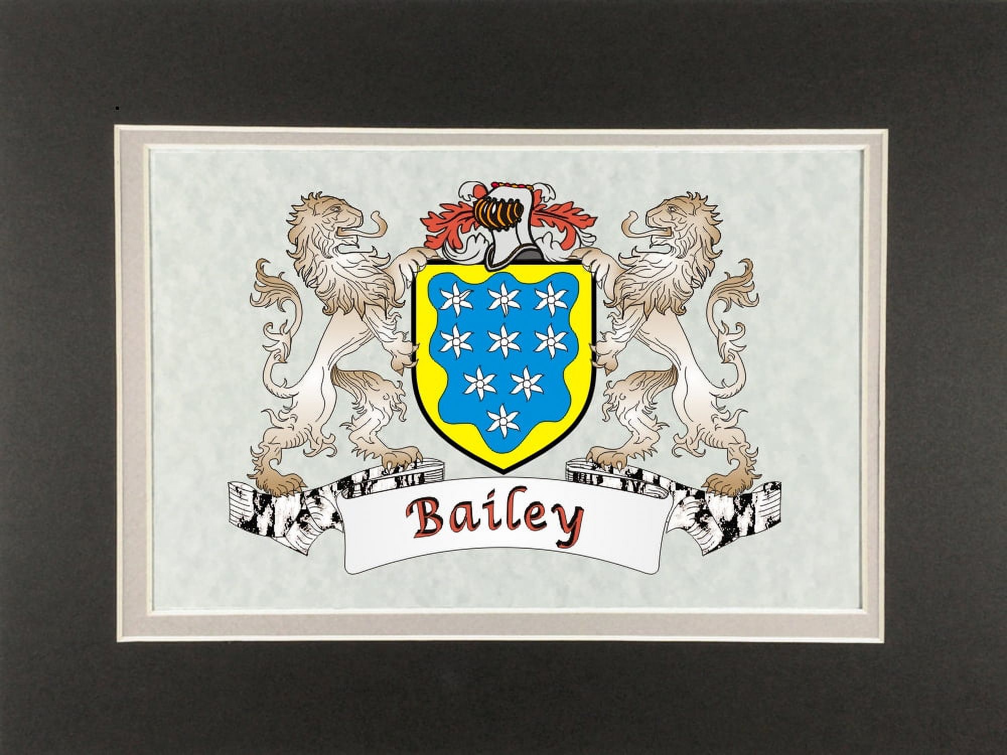 Bailey Irish Coat of Arms Print - Frameable 9" x 12" - Walmart.com